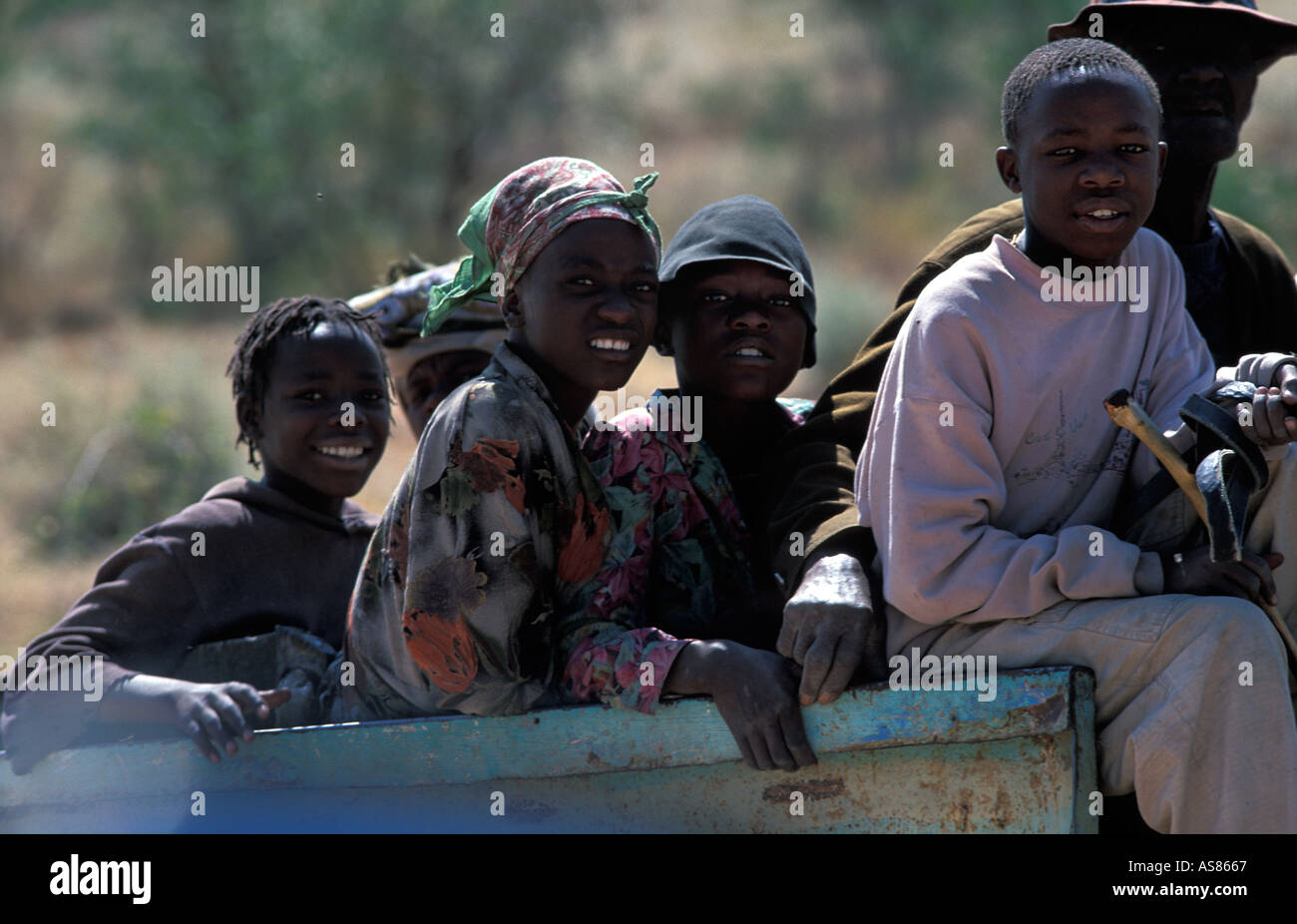 Local transport a donkey cart Namibian style travel Kaokoveld south of ...