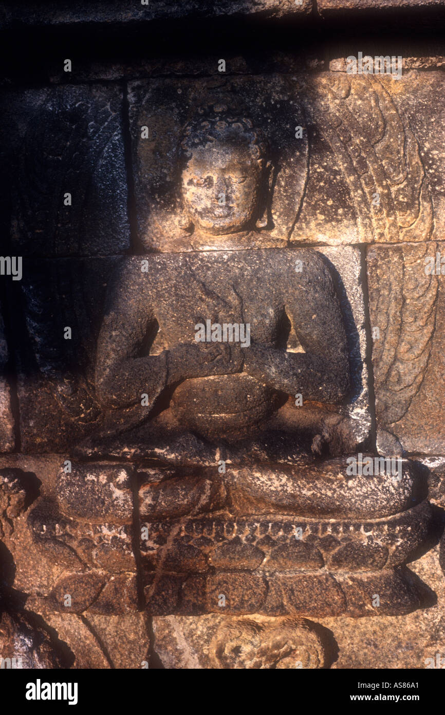 Buddha carvings Borobudur Java Indonesia Stock Photo - Alamy