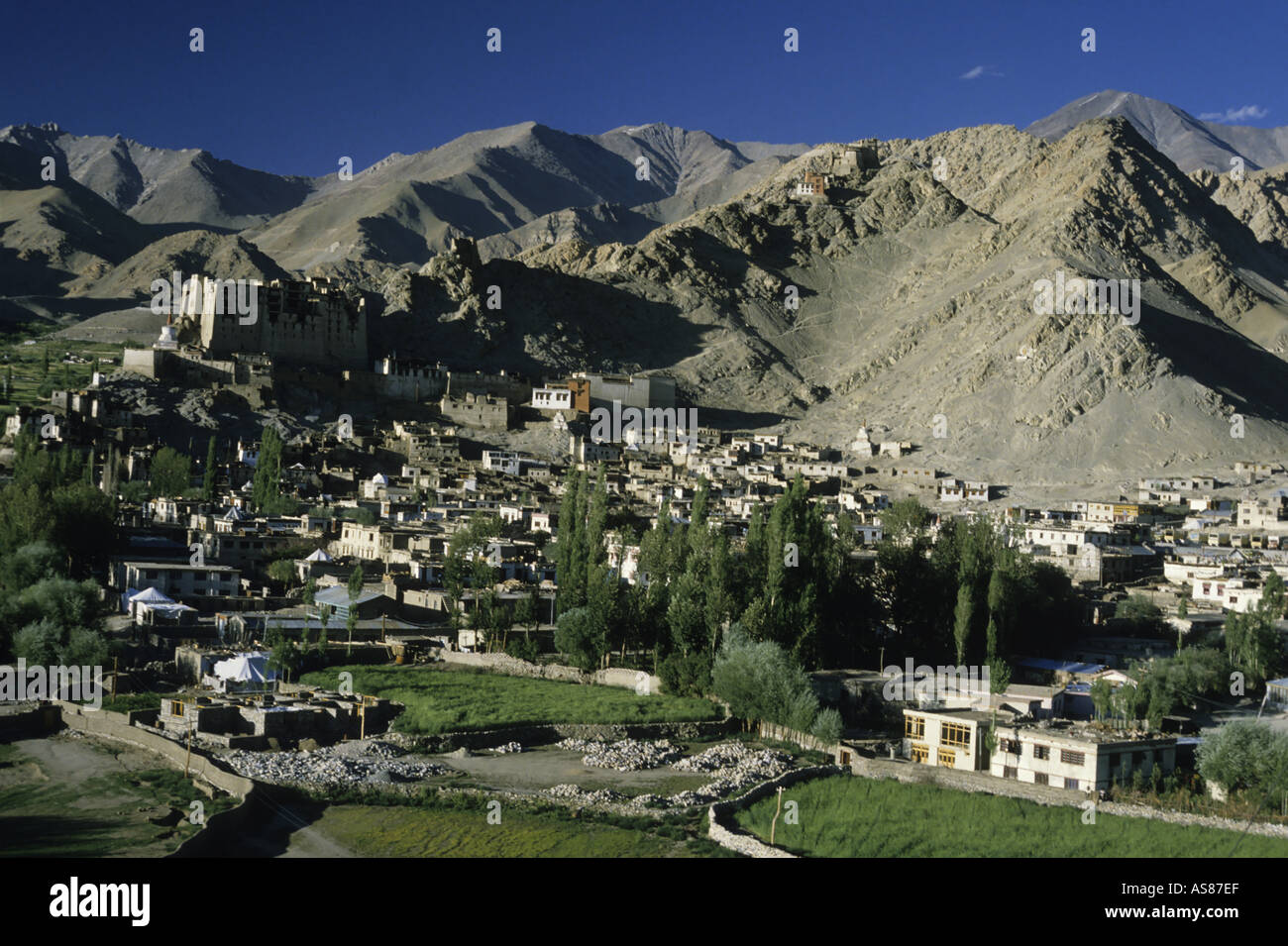 Leh, Ladakh, India - The Royal Palace and the city Stock Photo - Alamy
