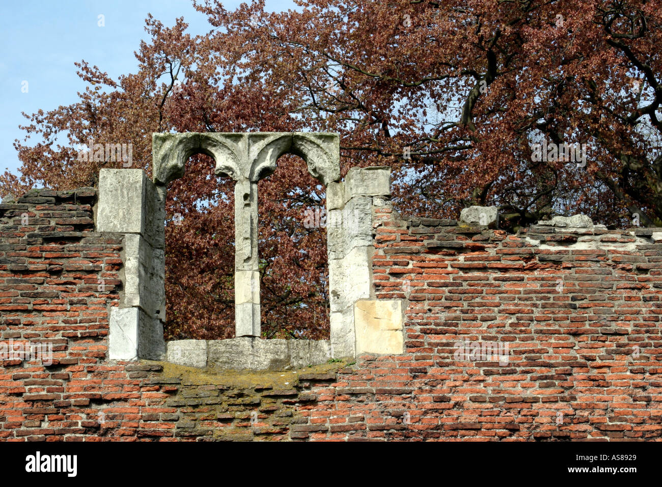 Museum Gardens York Stock Photo - Alamy