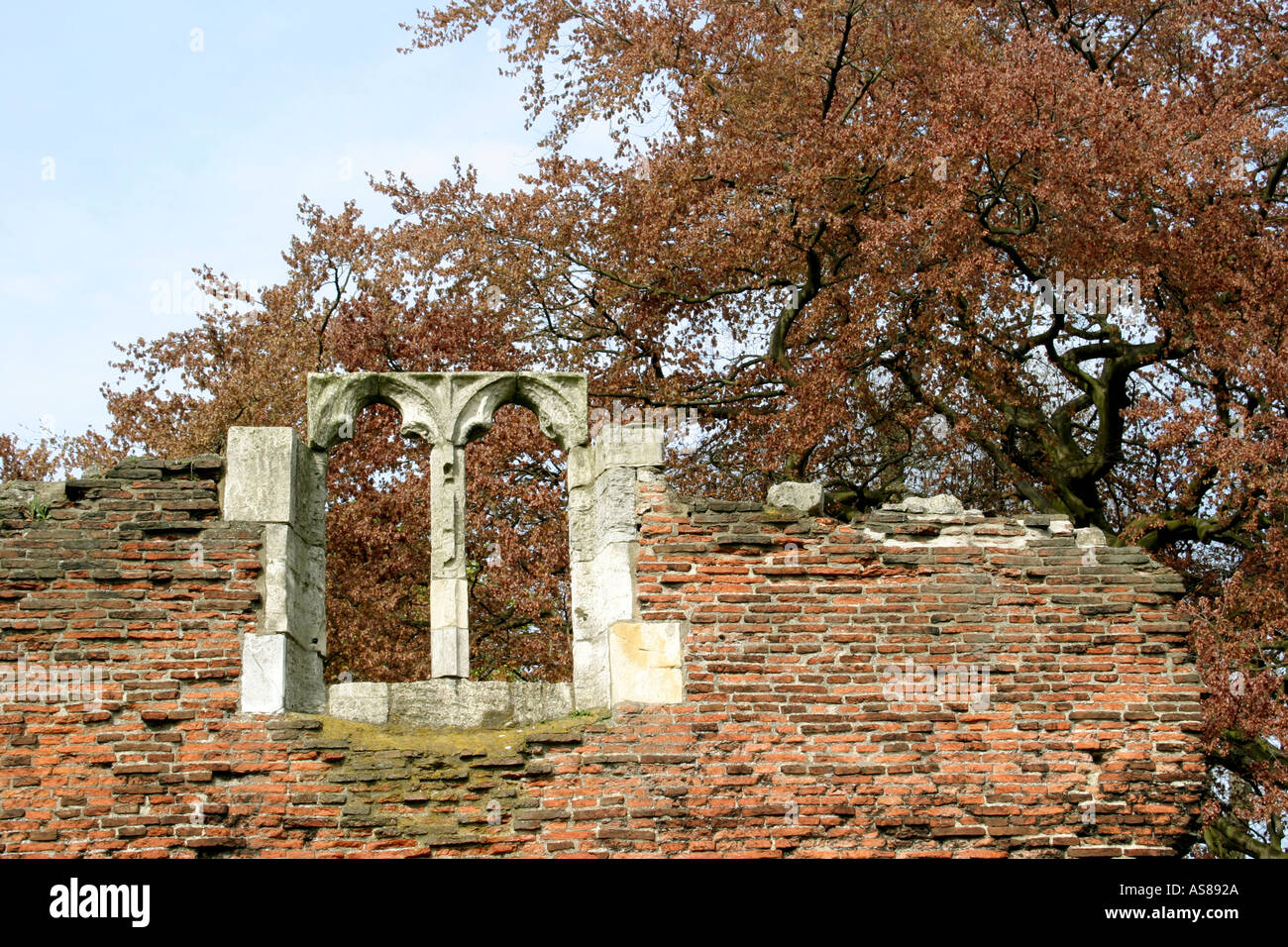 Museum Gardens York Stock Photo - Alamy