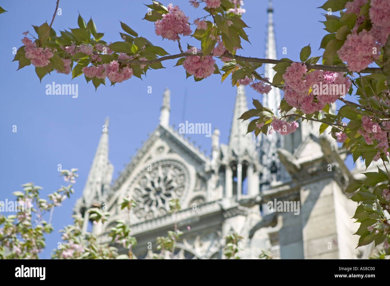Notre dame cathedral view through hi-res stock photography and images ...