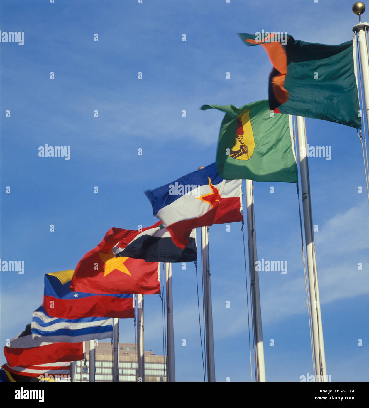United nations flags hi-res stock photography and images - Alamy