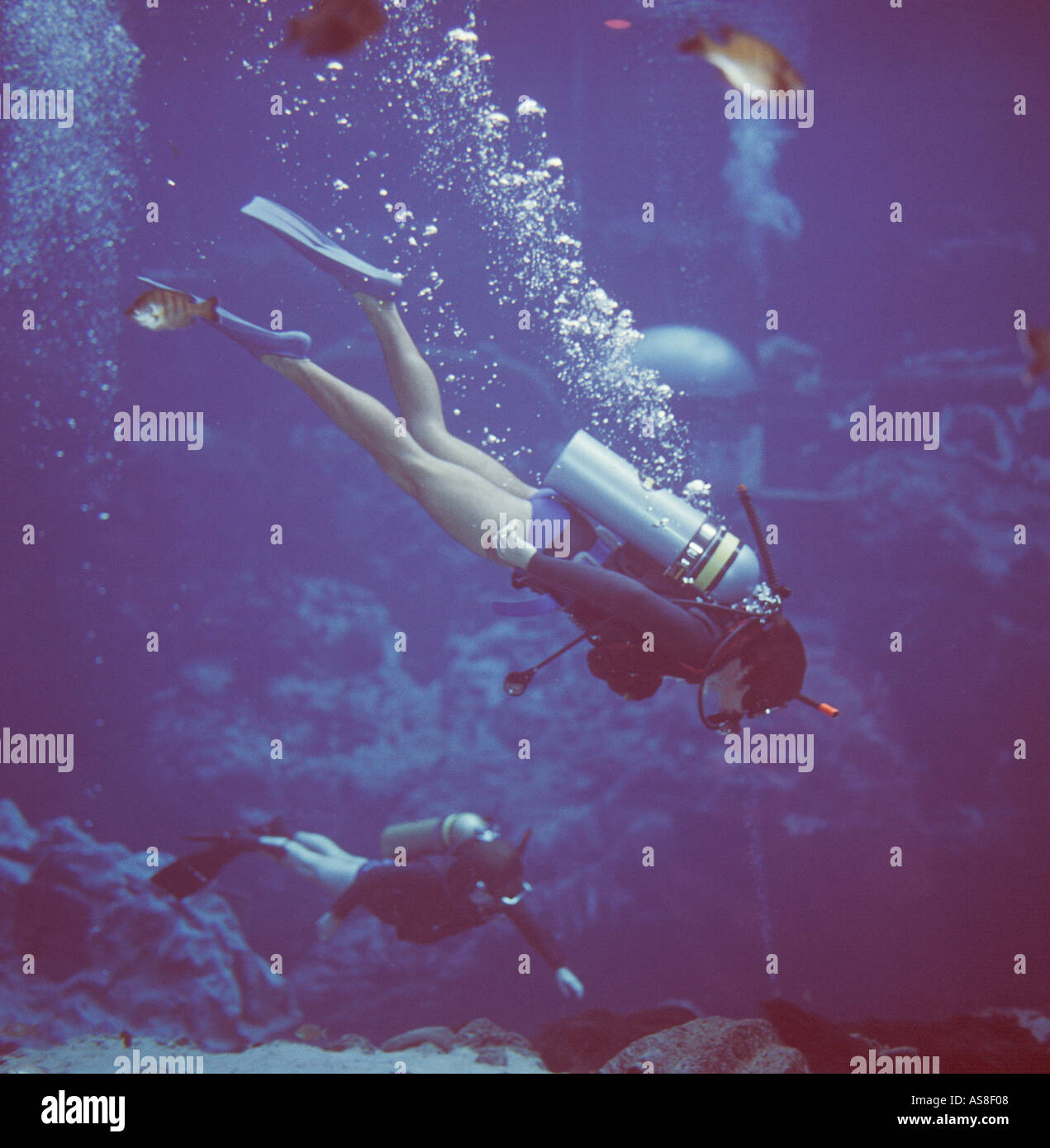 skin divers exploring Florida spring and caves Stock Photo - Alamy