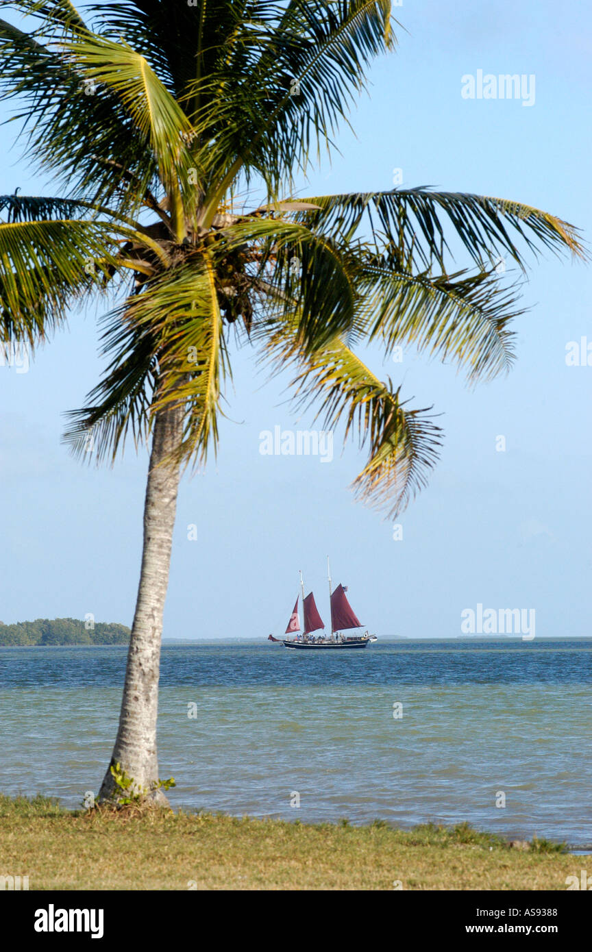 Everglades National Park Florida FL Ecosystem Stock Photo - Alamy