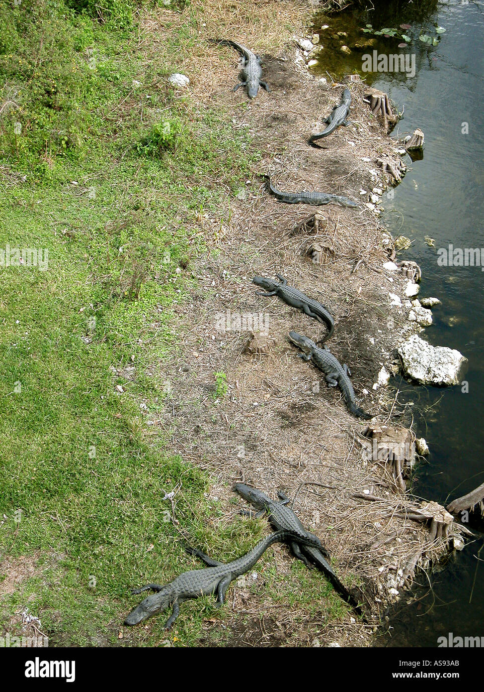 Shark Valley Visitor s Center Everglades National Park Florida Stock ...