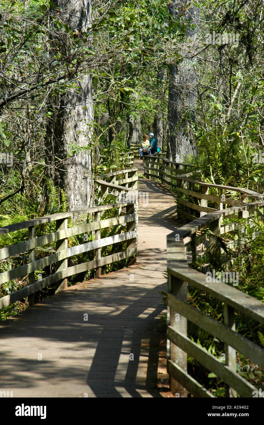 Corkscrew swamp sanctuary hi-res stock photography and images - Alamy