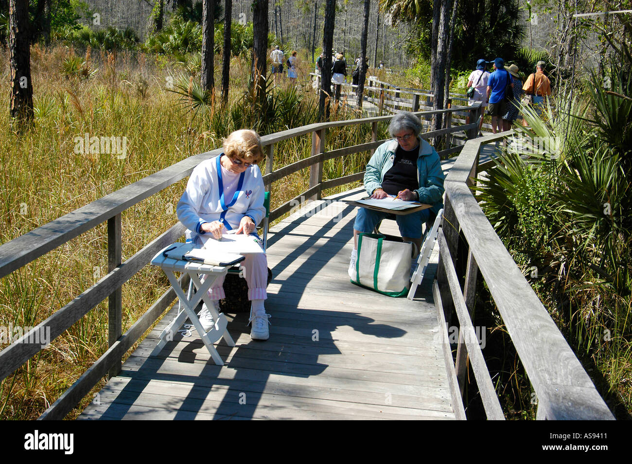 Corkscrew Swamp Sanctuary Naples Florida FL Stock Photo - Alamy