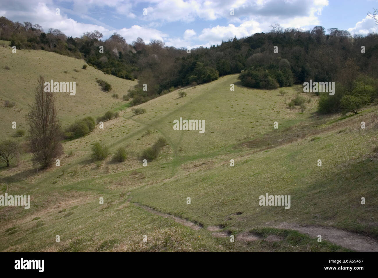 Boxhill hi-res stock photography and images - Alamy