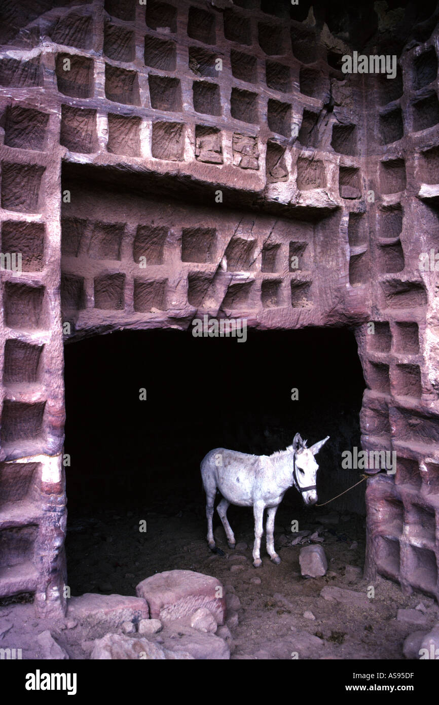 Donkey inside a historic carved cave at Petra Jordan Stock Photo - Alamy
