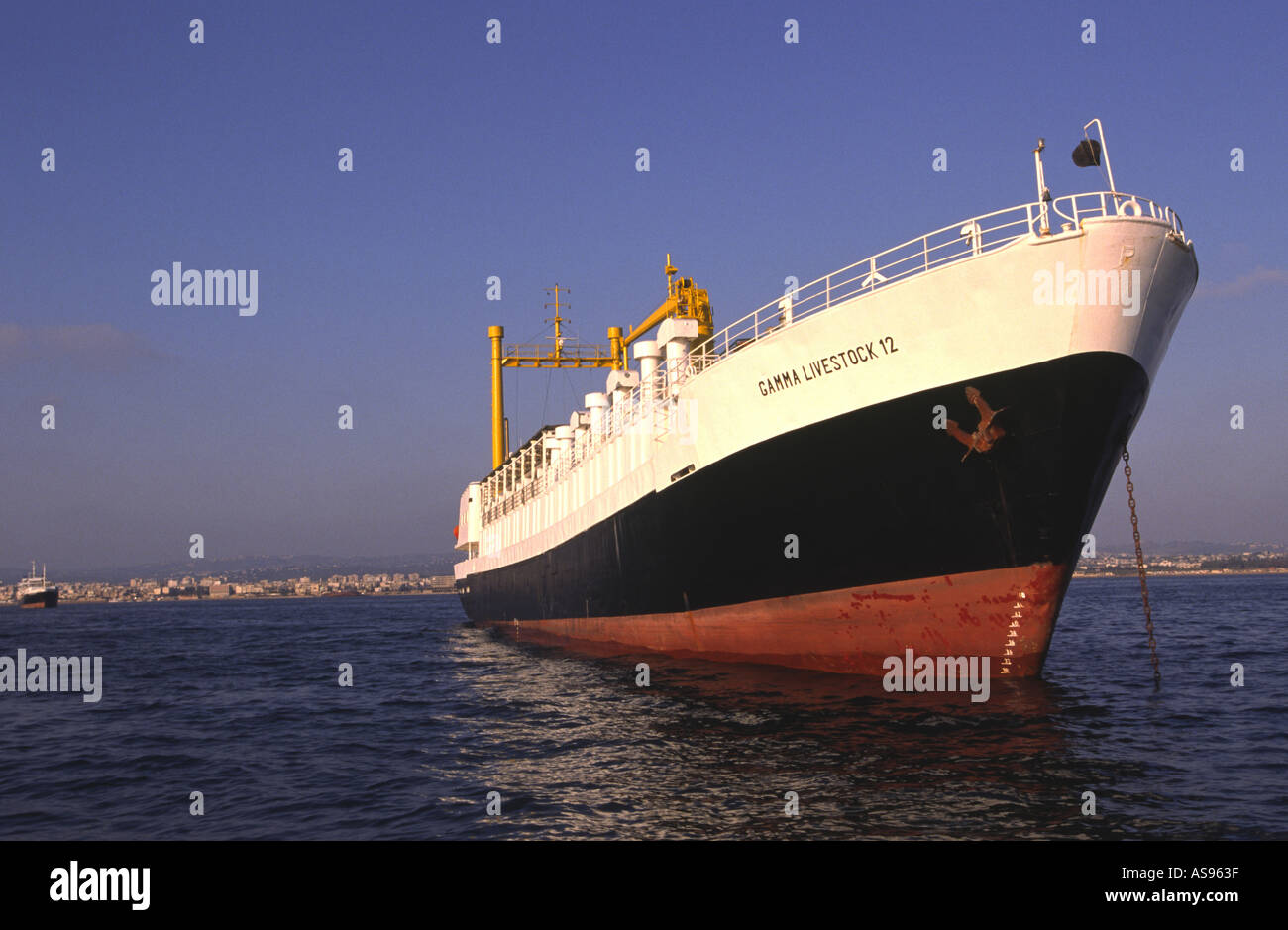Syria latakia beach hi-res stock photography and images - Alamy