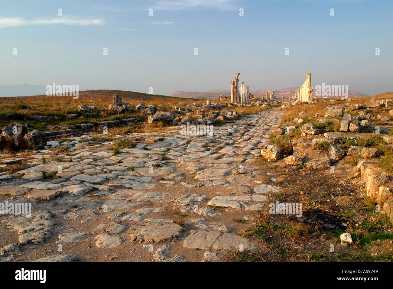 Roman ruins of Afamia or Apamea Syria Stock Photo - Alamy