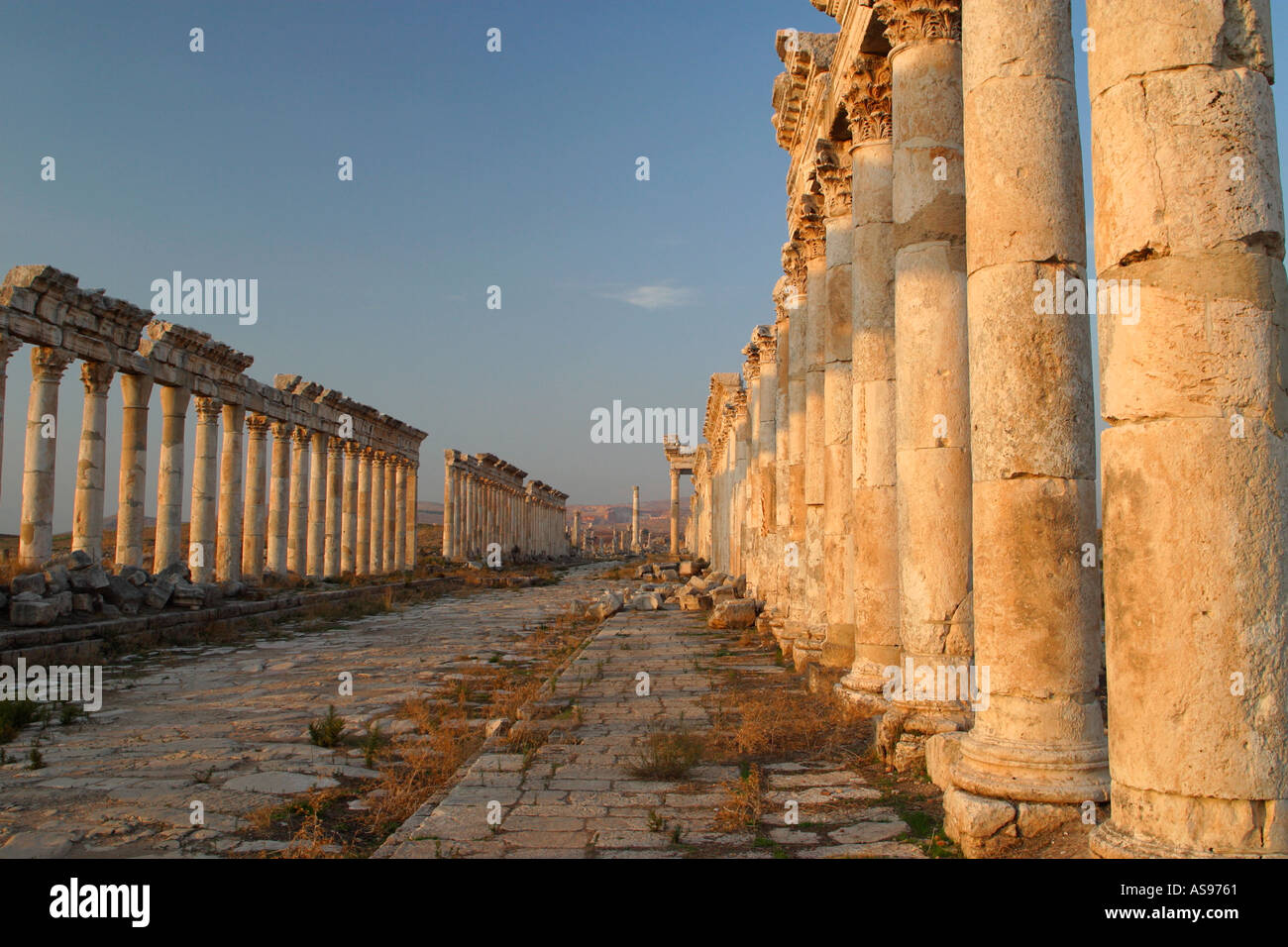 Amapea hi-res stock photography and images - Alamy