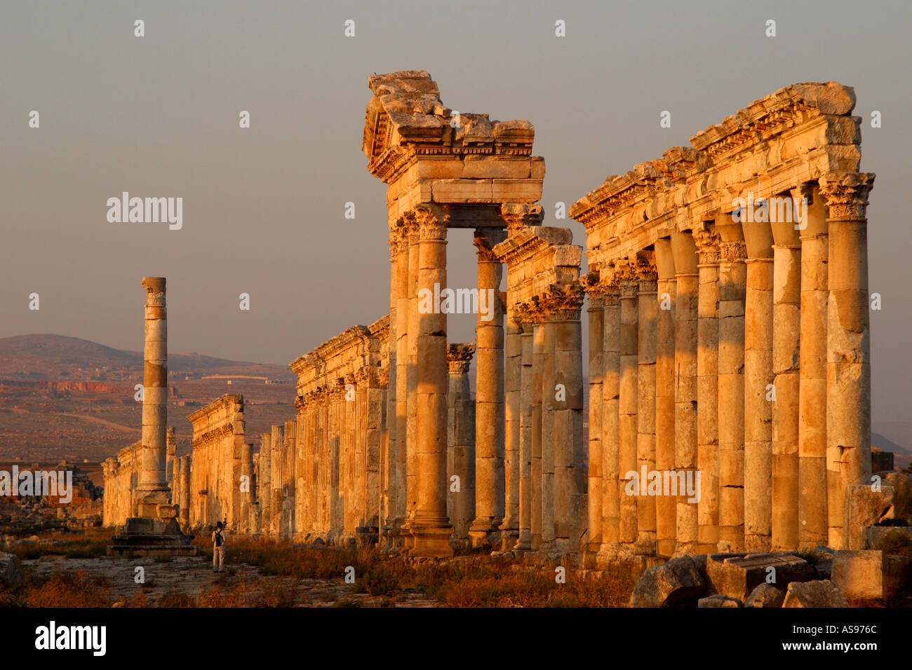Roman ruins of Afamia or Apamea Syria Stock Photo - Alamy