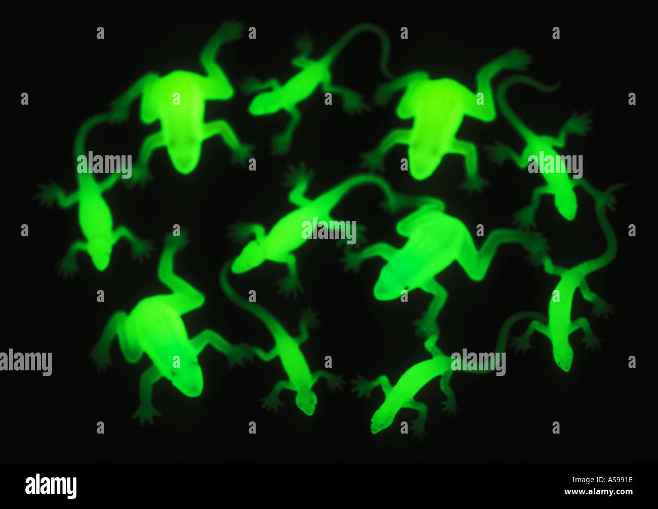 Glow glow in the dark radiation radioactive hi-res stock photography ...