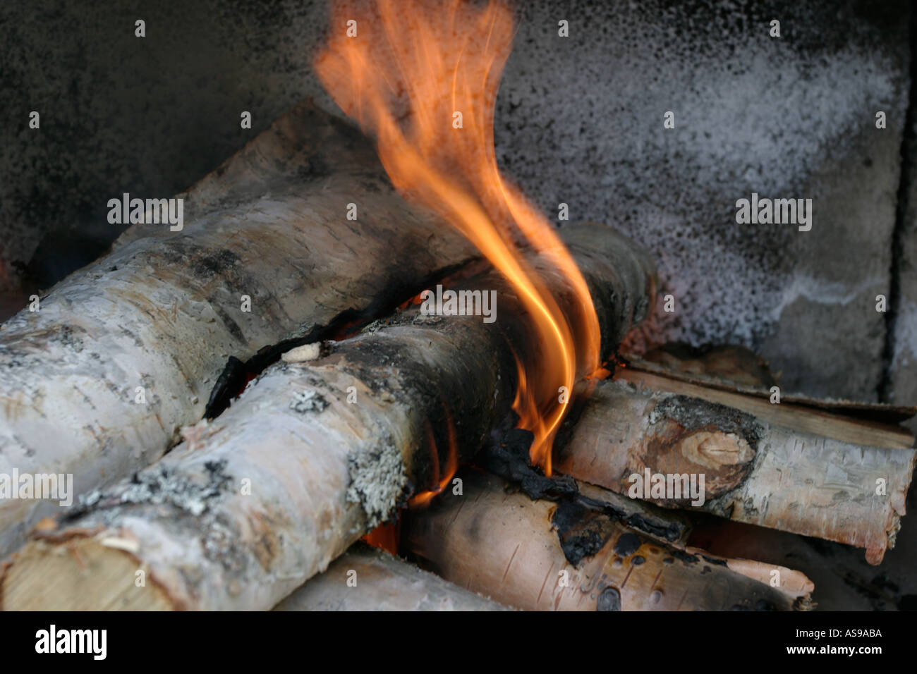 birch logs in fire Stock Photo - Alamy