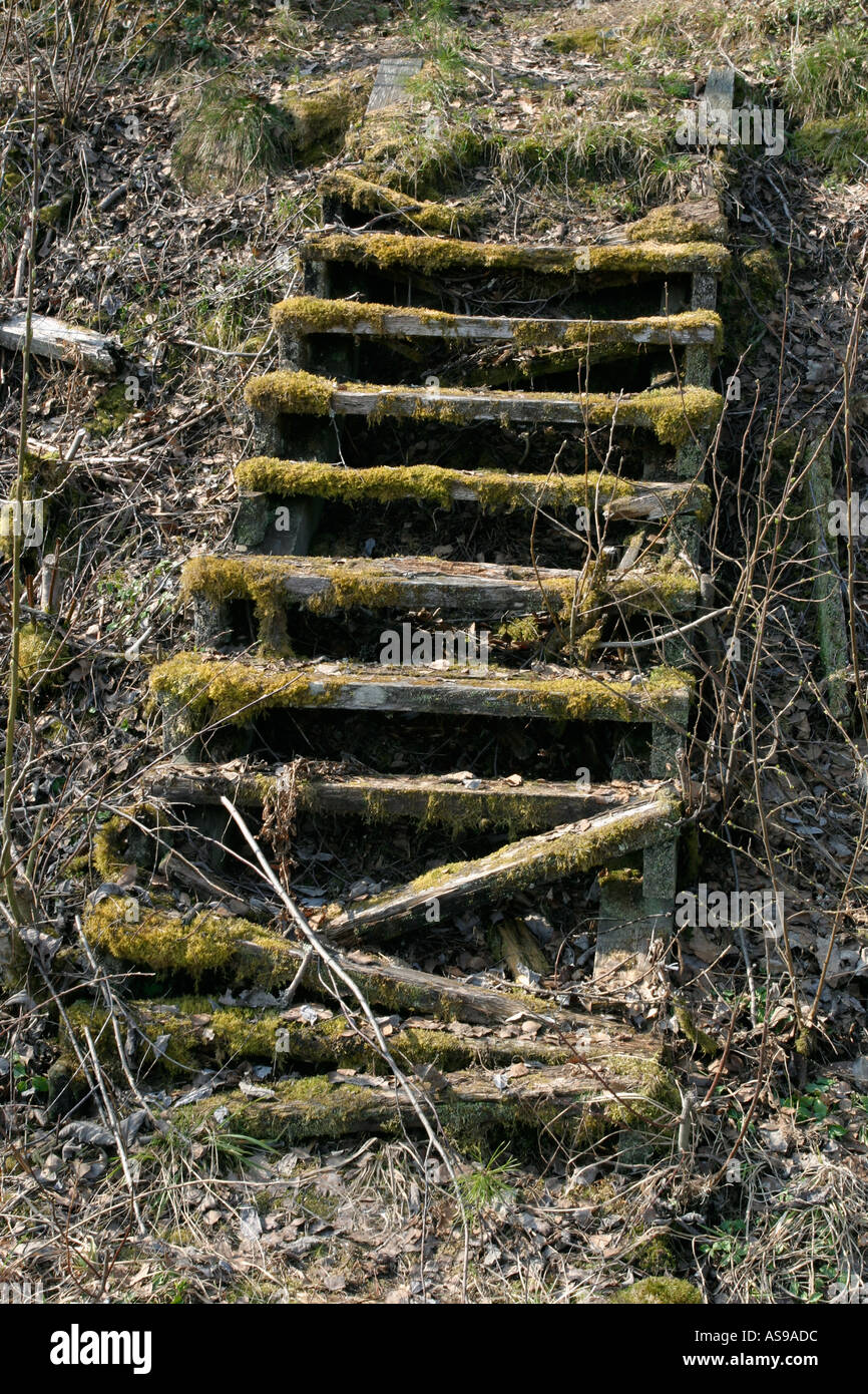 Steps going up Stock Photo - Alamy