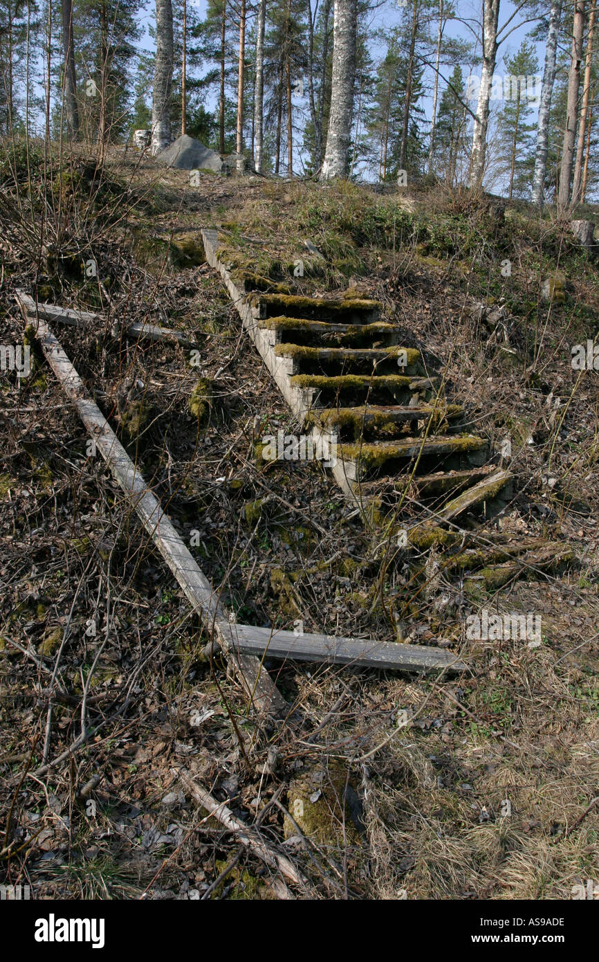 Steps going up Stock Photo - Alamy