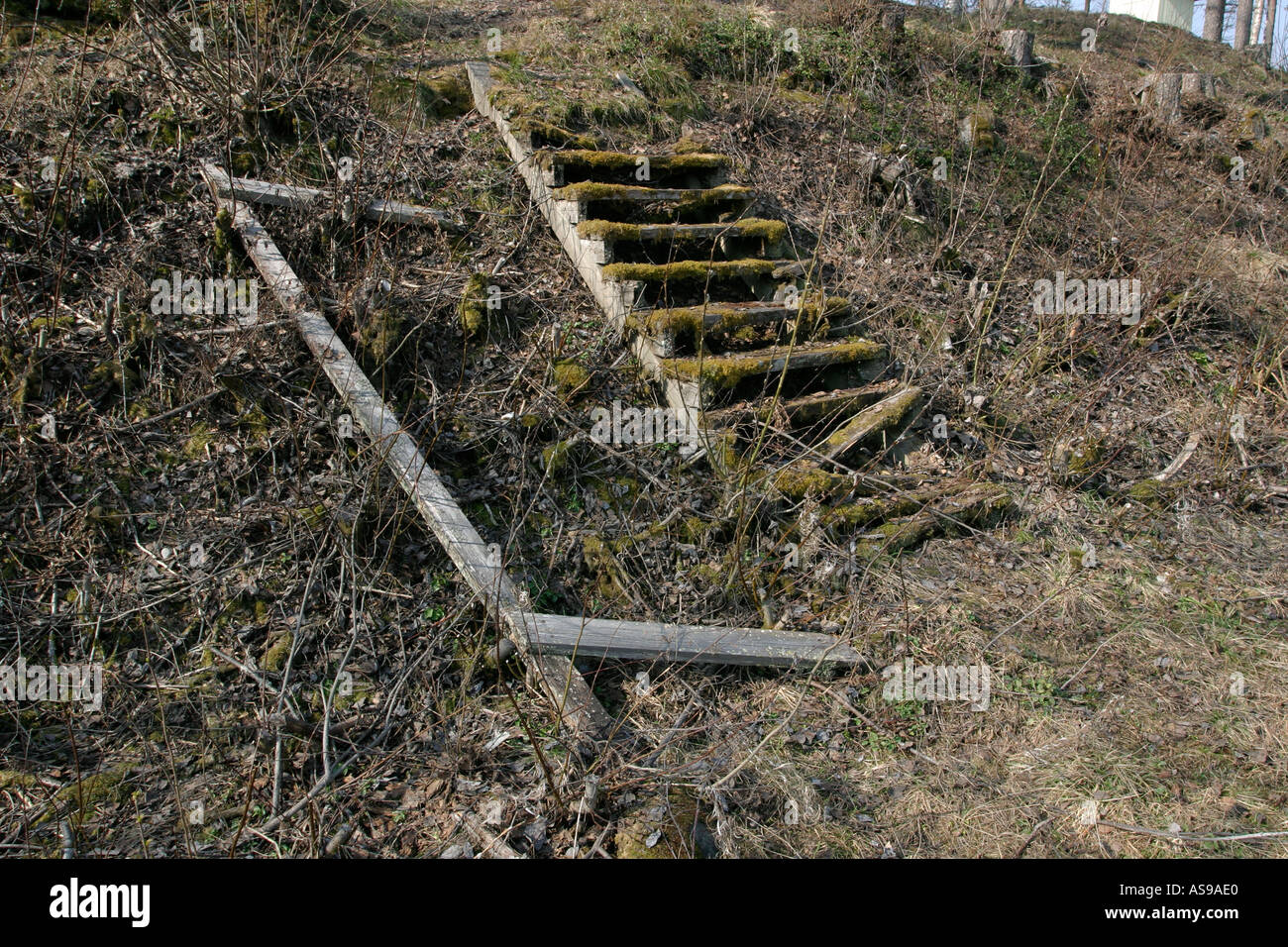 Steps going up Stock Photo - Alamy