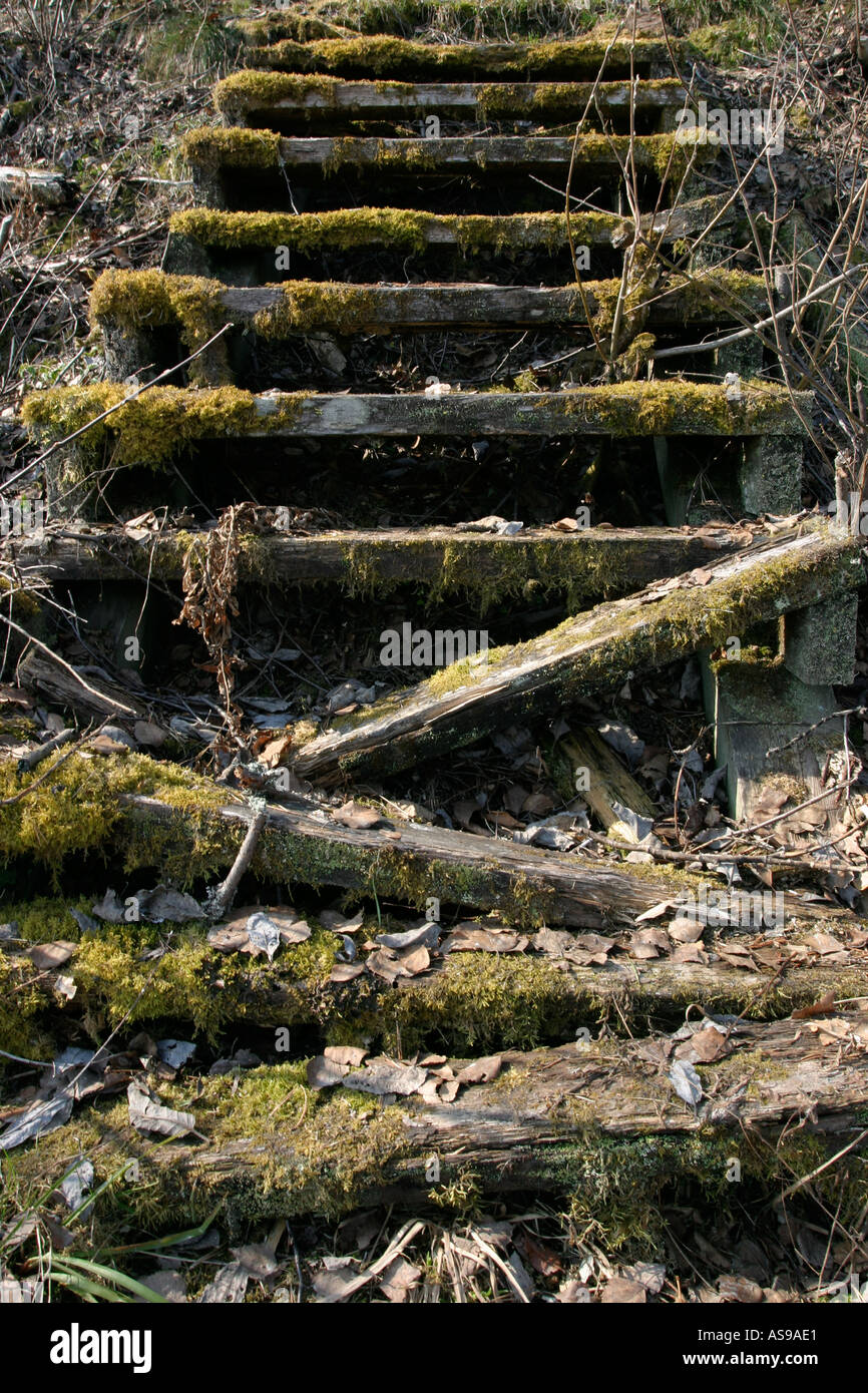 Steps going up Stock Photo - Alamy