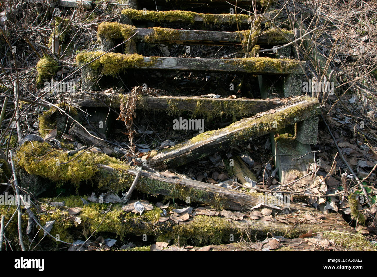 Steps going up Stock Photo - Alamy