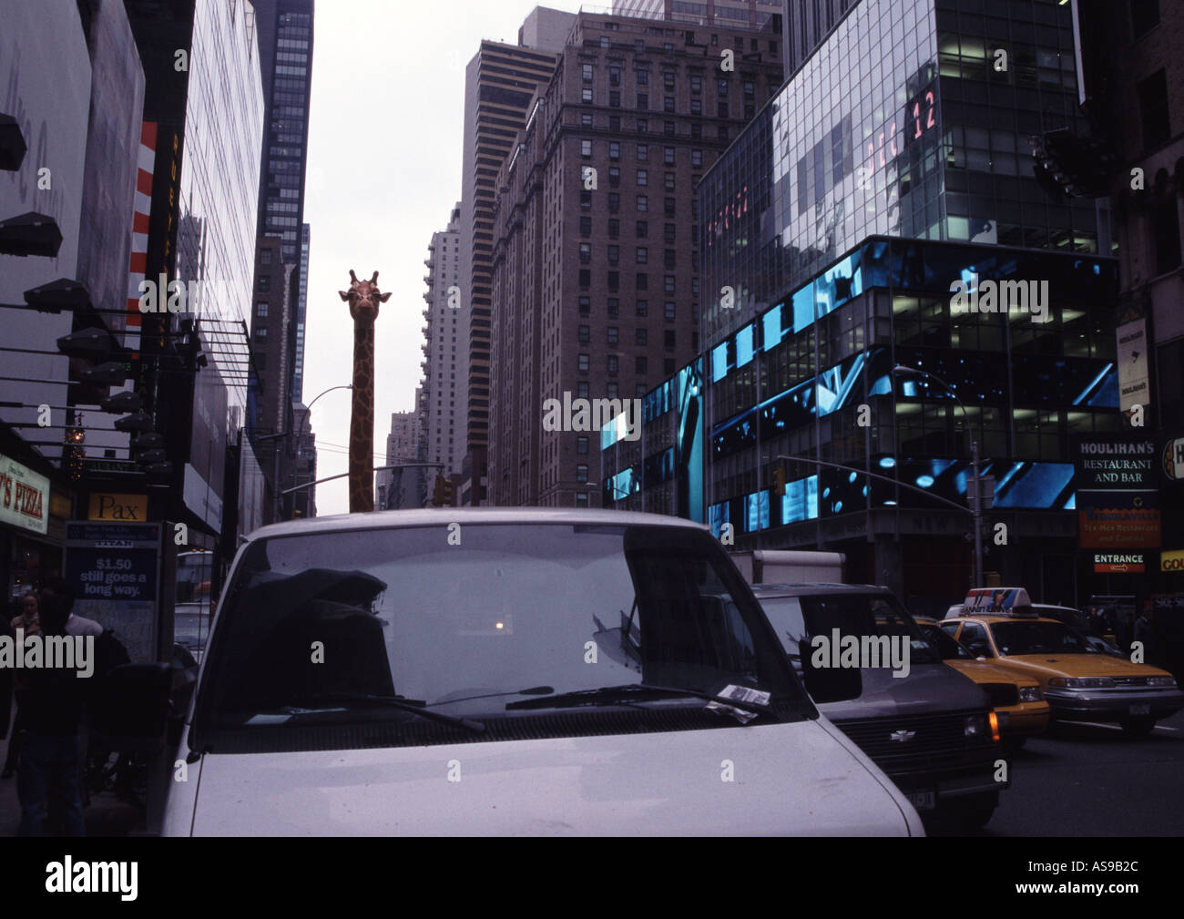Giraffe arrives Times Square New York USA Stock Photo - Alamy