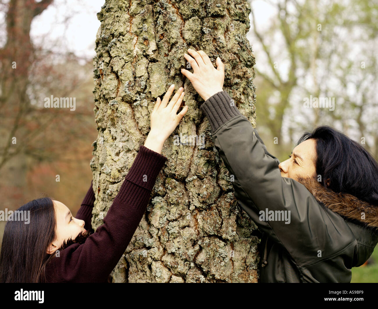 mother and daughter reaching up tree trunk Stock Photo - Alamy
