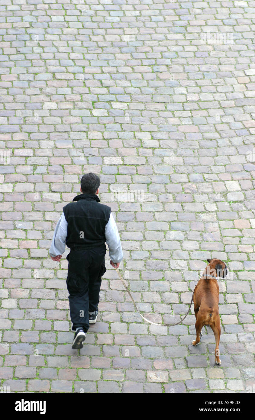 Man walking boxer dog Stock Photo - Alamy