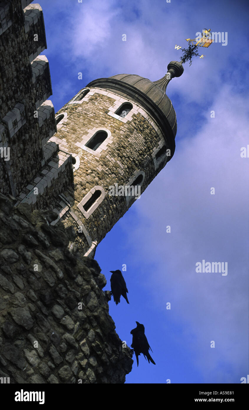 Tower crows hi-res stock photography and images - Alamy