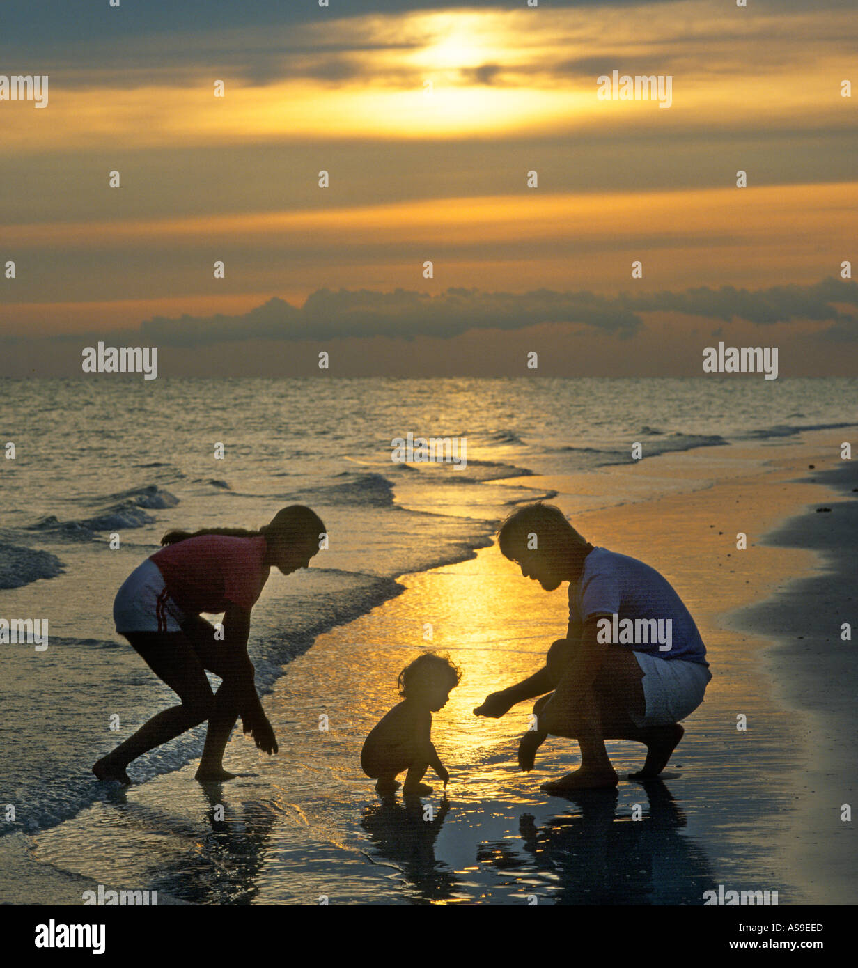 family of three playing on beach at sunset Stock Photo - Alamy