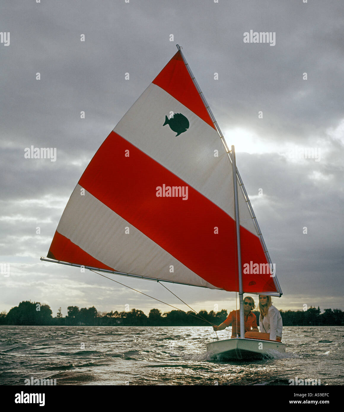 Sunfish Sailboat Logo