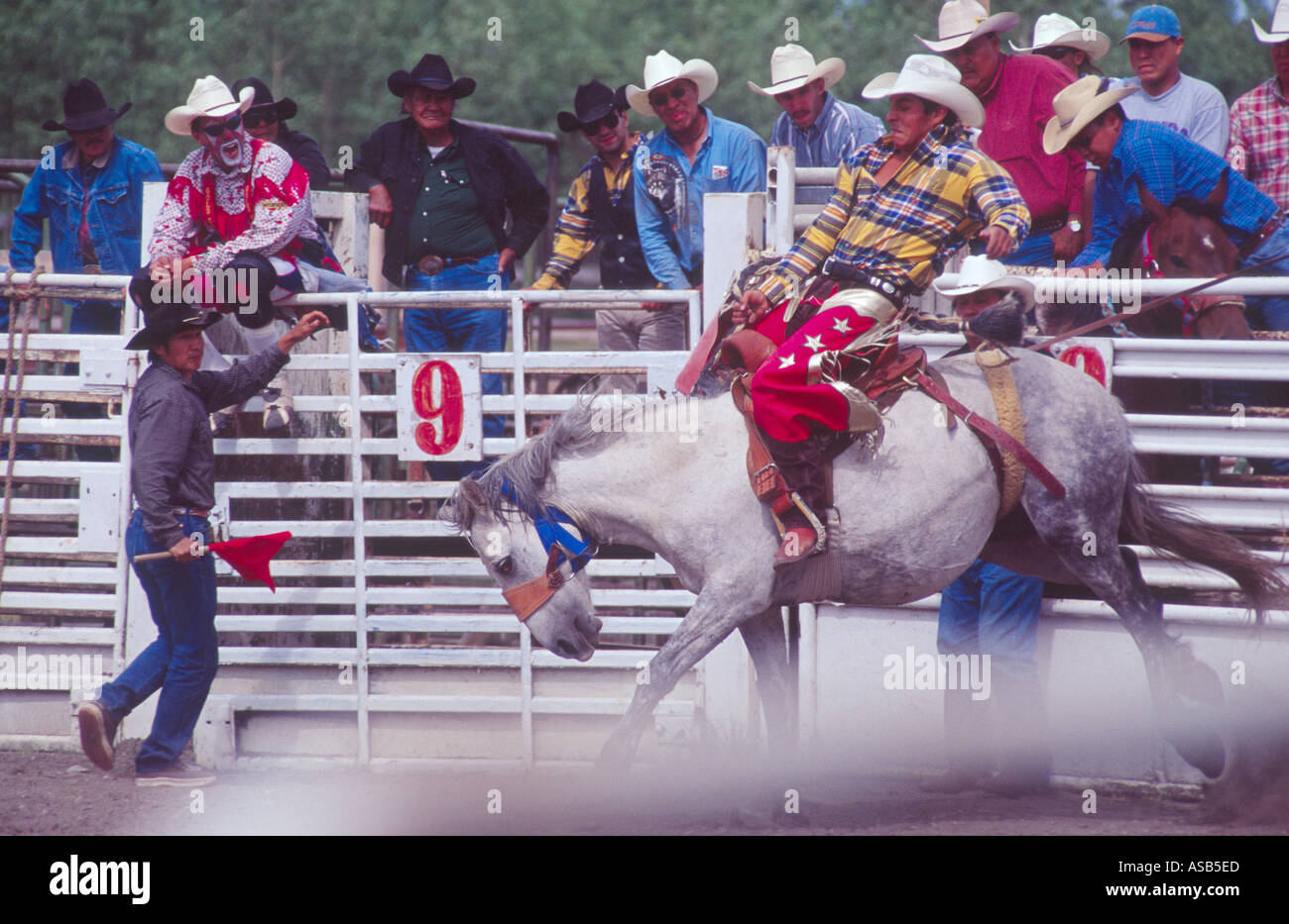 Calgary, canada horses mountains hi-res stock photography and images ...