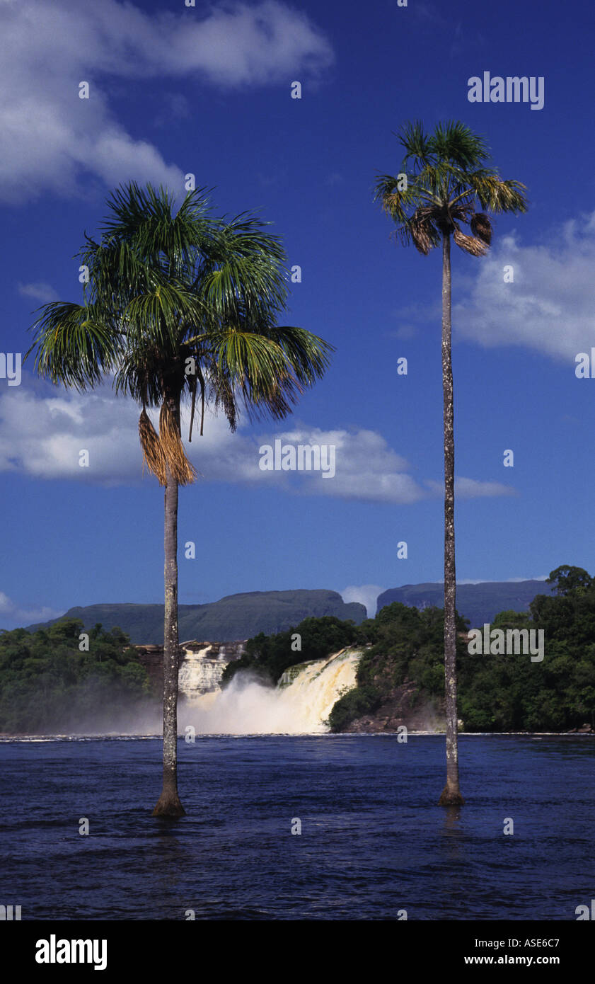 Canaima np hi-res stock photography and images - Alamy