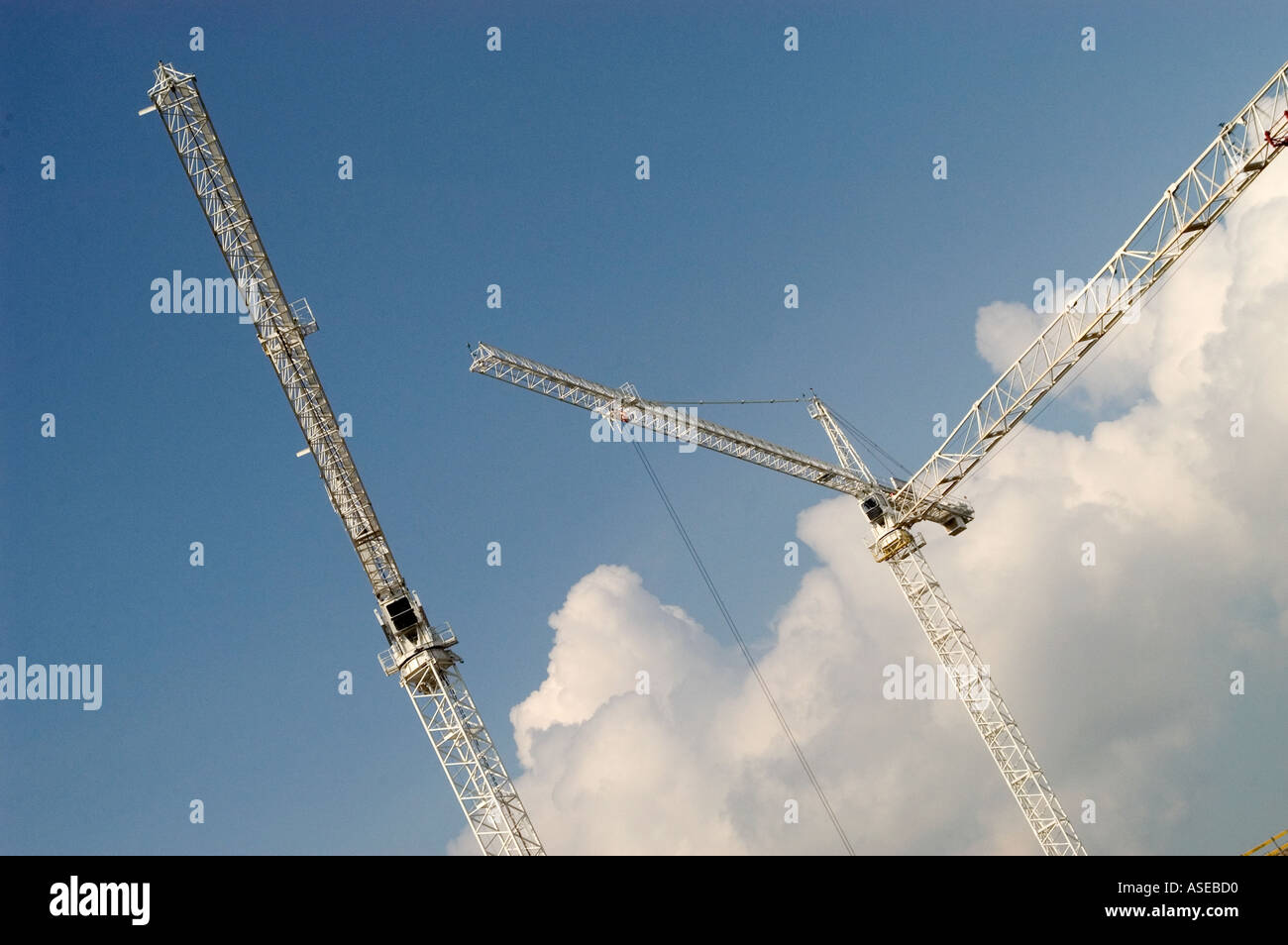Cranes on a building site Stock Photo - Alamy