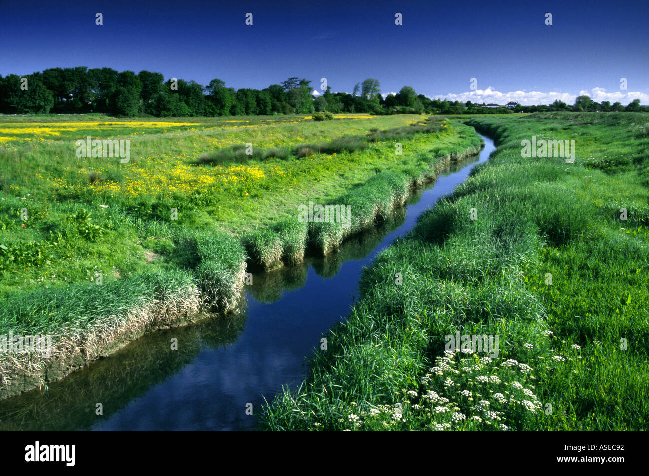 The river cuckmere hi-res stock photography and images - Alamy