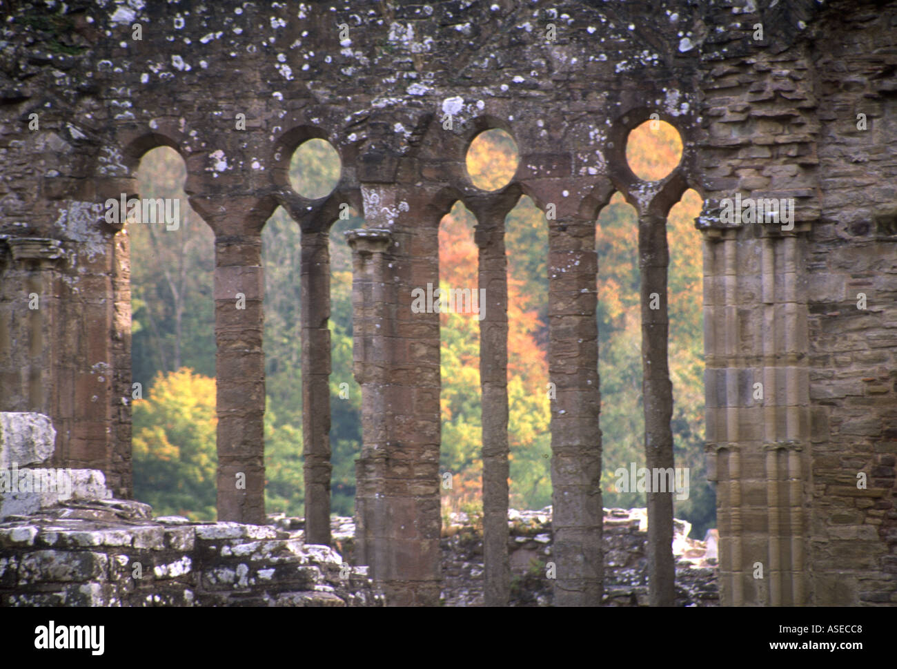 Tintern autumn trees hi-res stock photography and images - Alamy