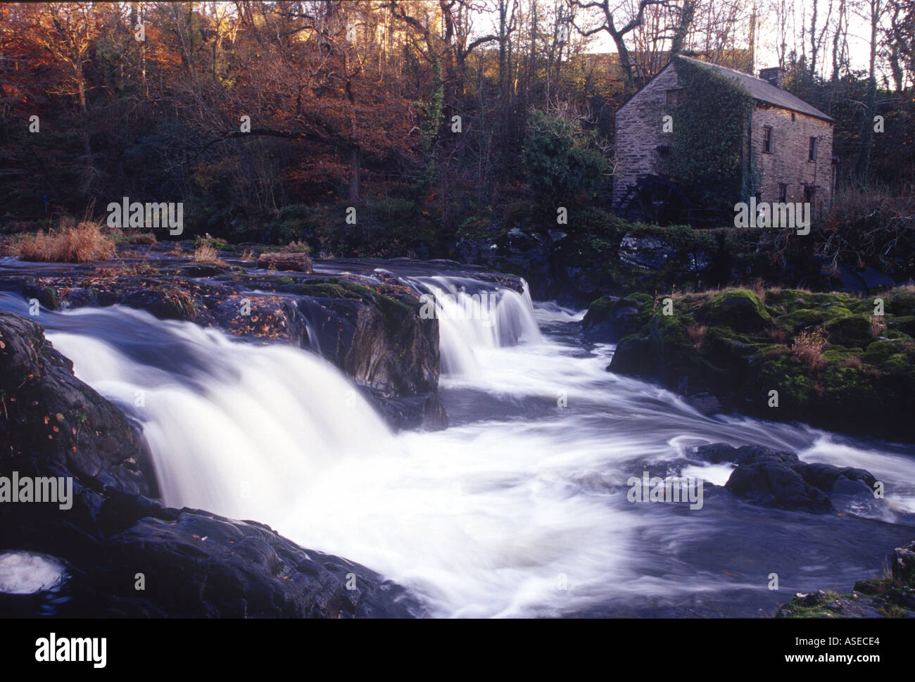 Cenarth Falls and Water Mill Cenarth Teifi Valley Dyfed Wales UK DW1 ...