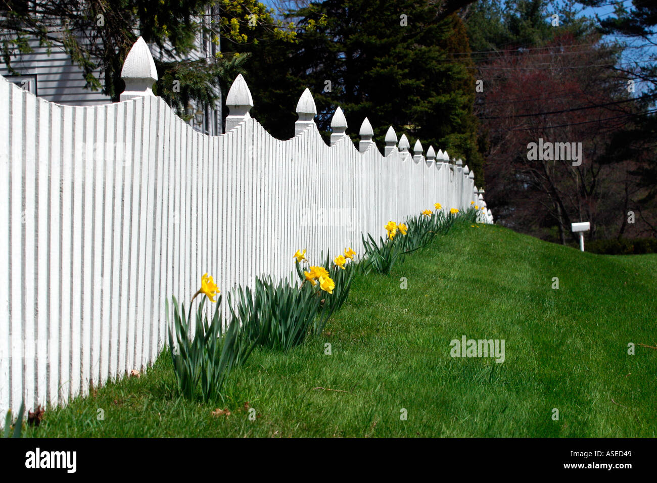 White picket fence cape cod hi-res stock photography and images - Alamy