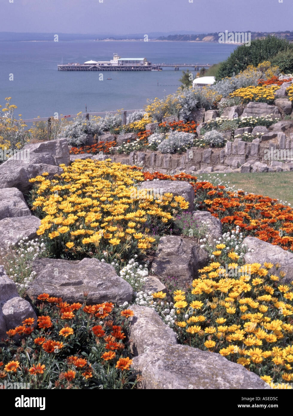 Bournemouth gardens plants hi-res stock photography and images - Alamy
