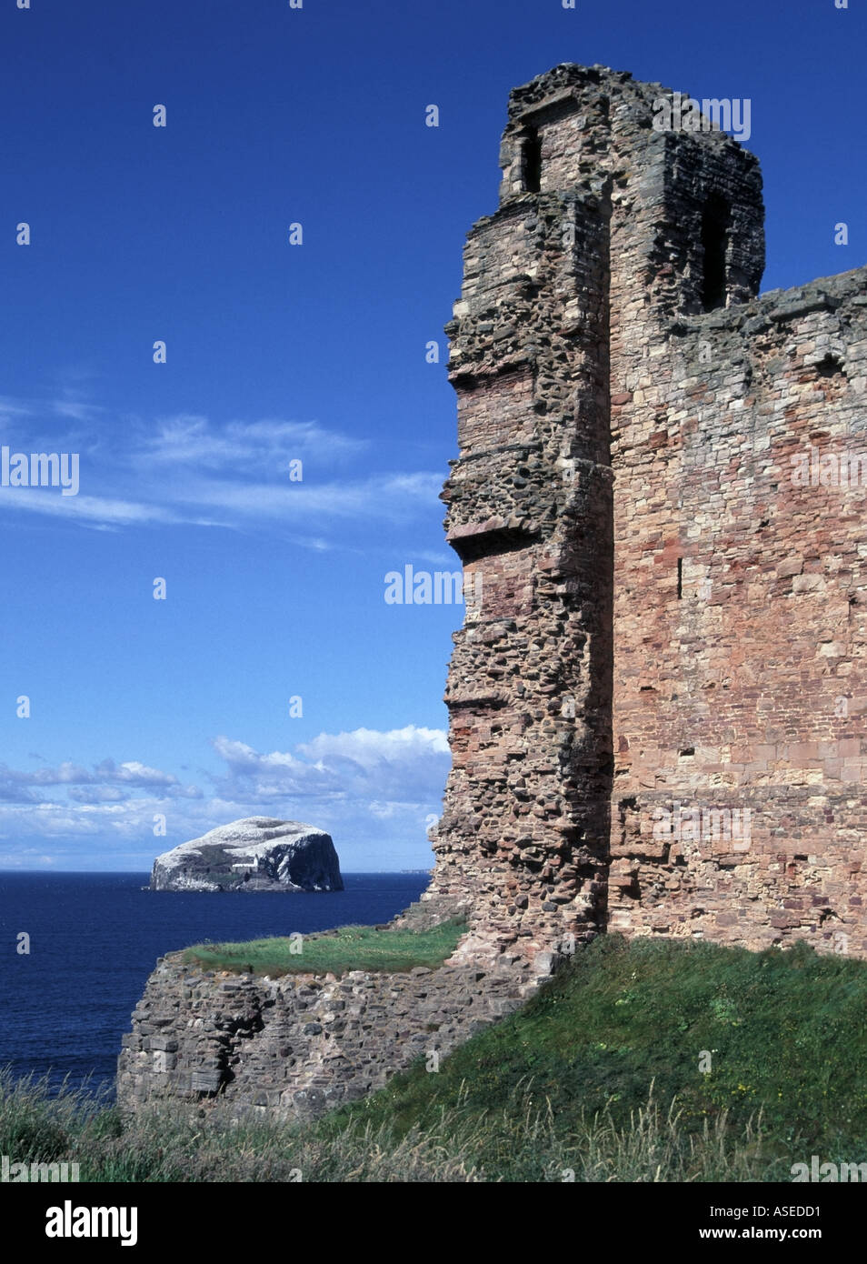 Auldhame Tantallon Castle ruins overlooking Firth of Forth with Bass ...