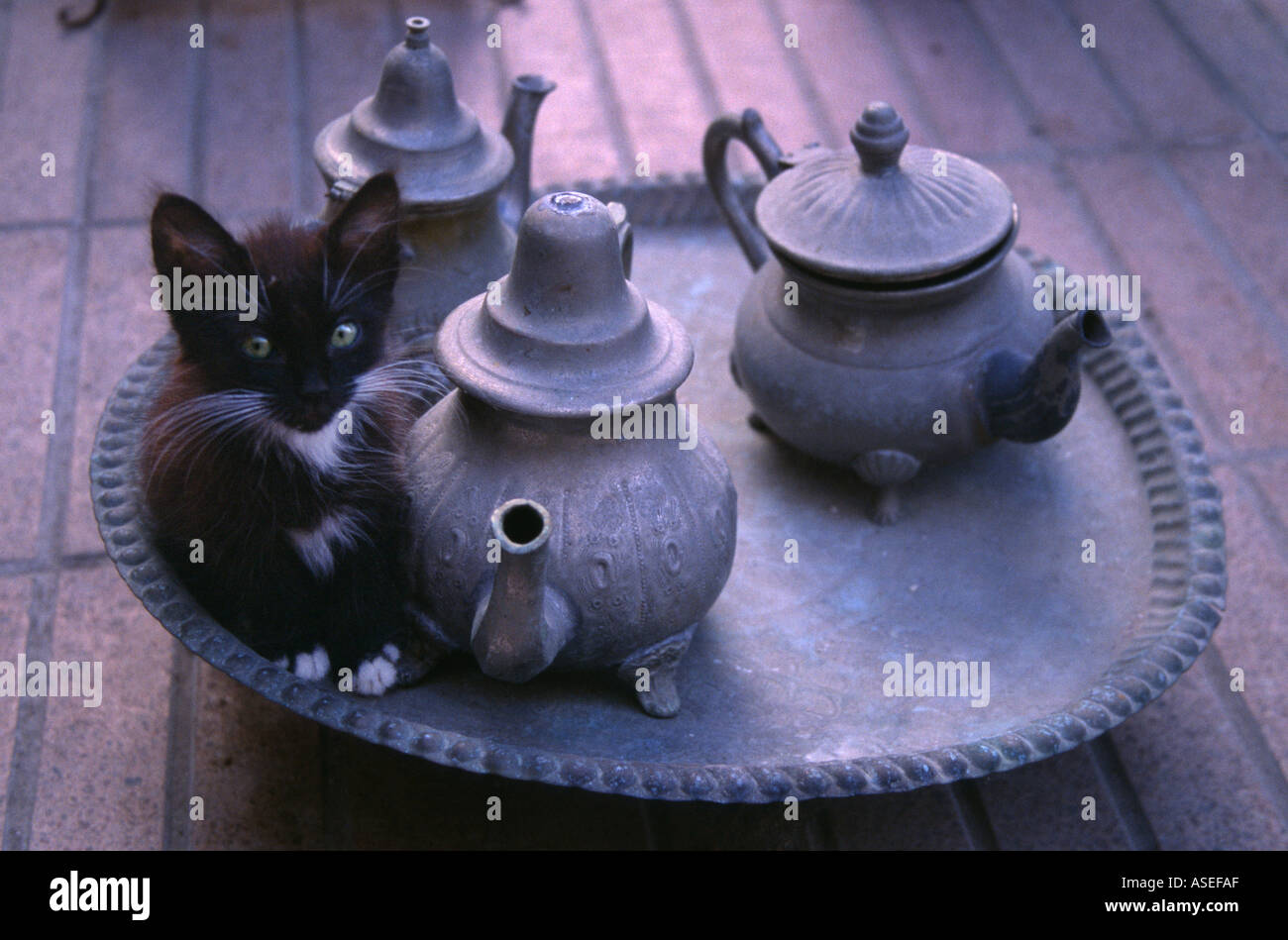 Teapot m hi-res stock photography and images - Alamy