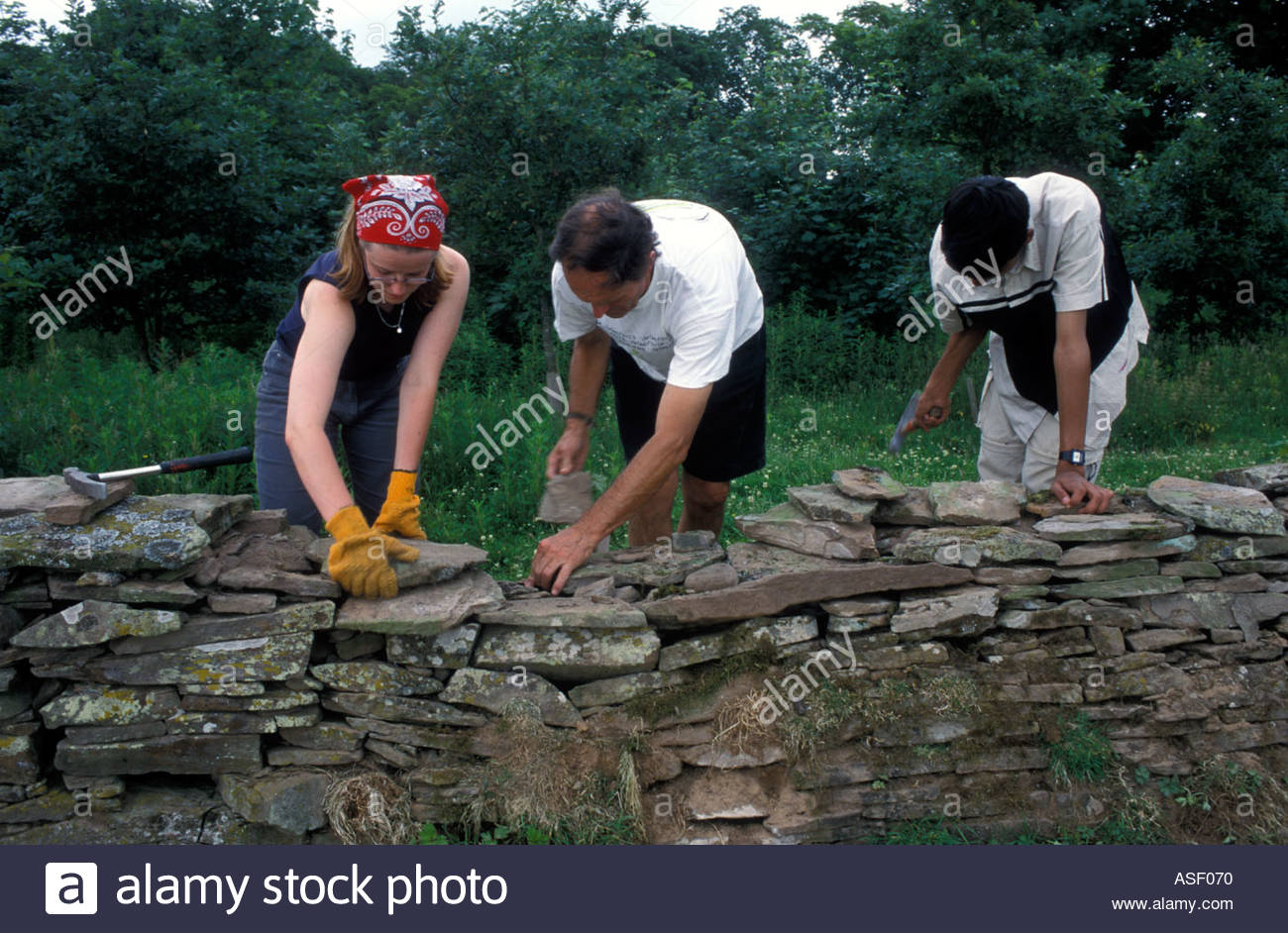 Dry Stone Walling Scotland High Resolution Stock Photography and Images ...