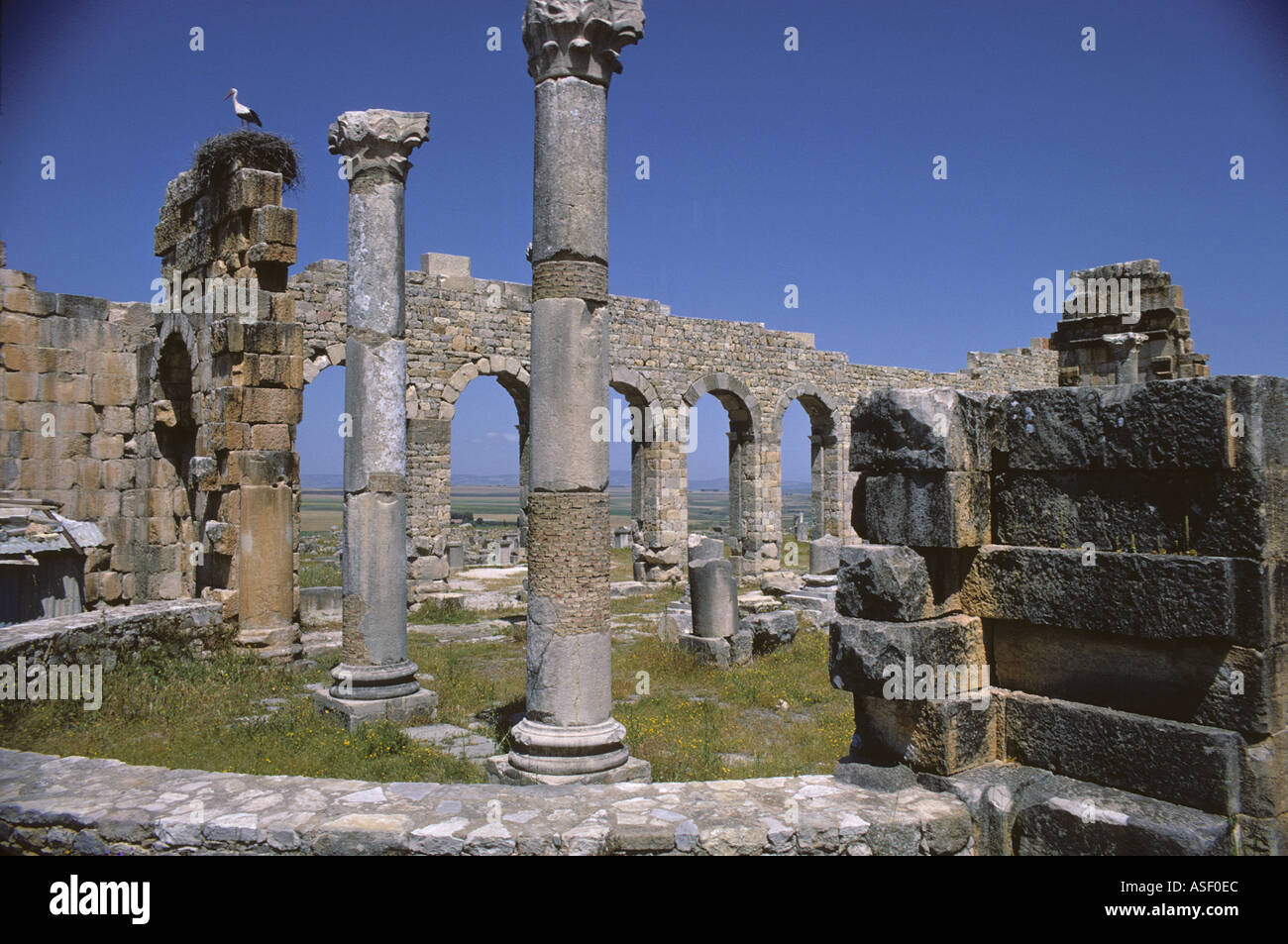 Walili hi-res stock photography and images - Alamy