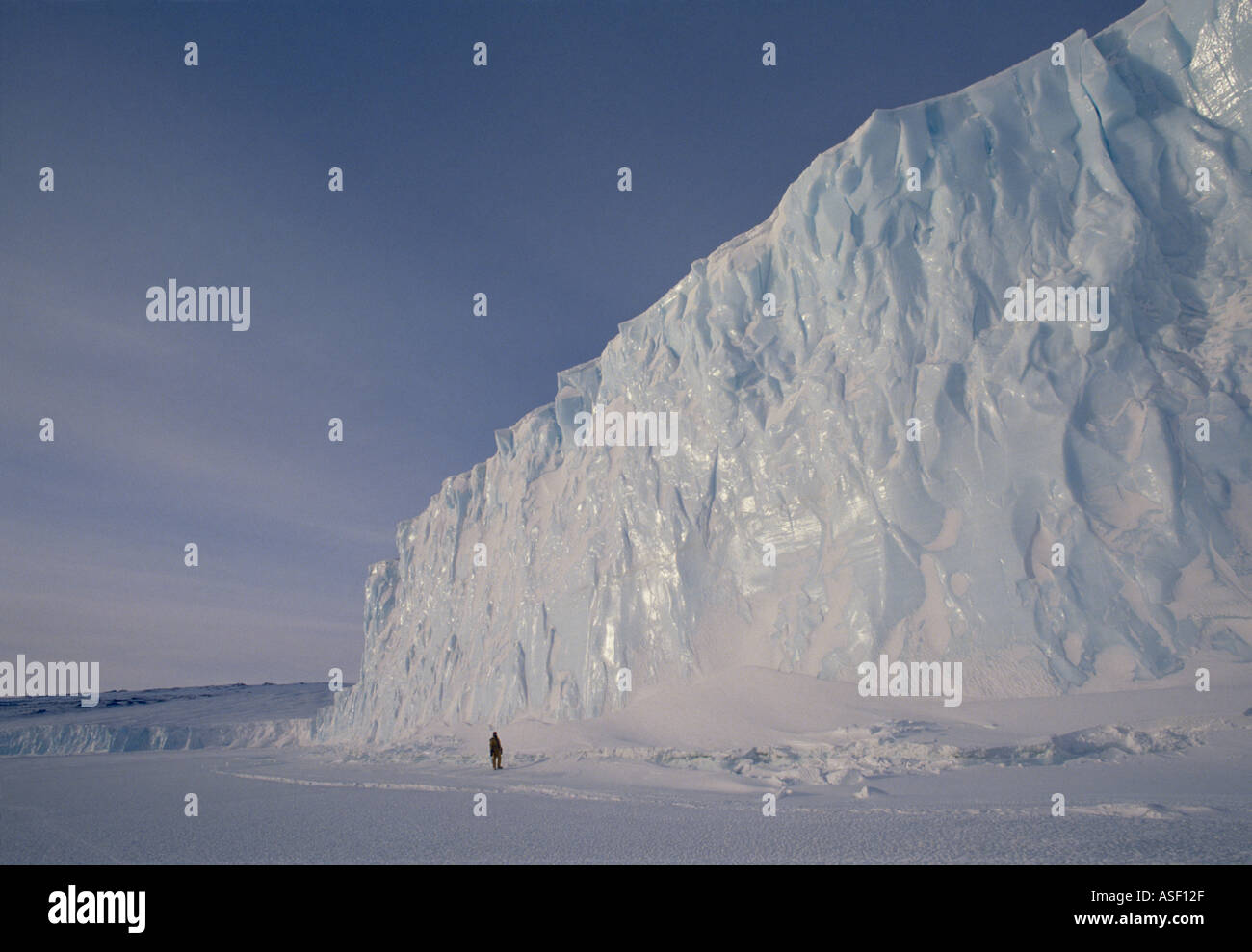 Person standing on fast sea ice next to terminal face of Barne Glacier ...