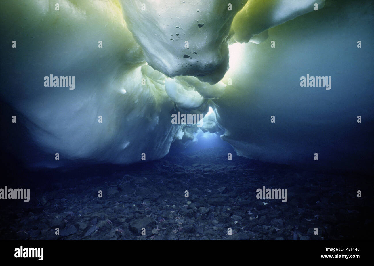 Underwater view under fast sea ice in shallow water along coastline ...