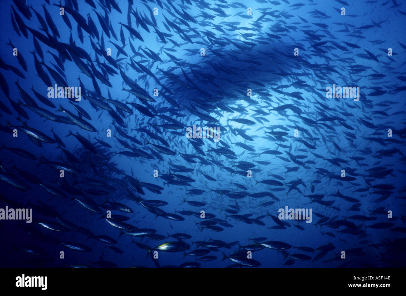 Underwater photograph looking up boat hi-res stock photography and ...