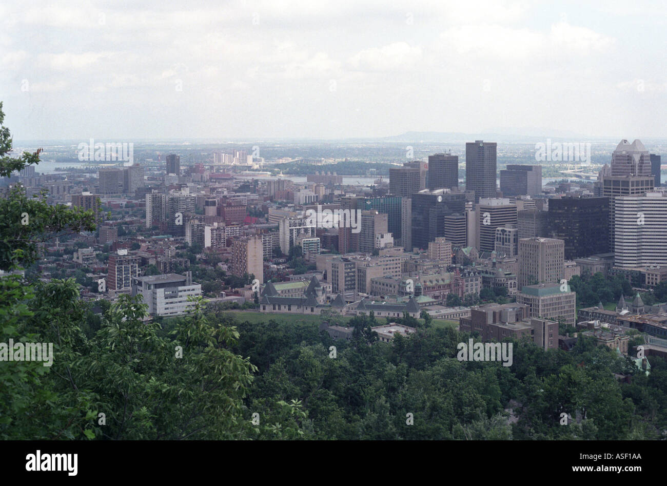 A view of Montreal Quebec from Mount Royal Stock Photo - Alamy