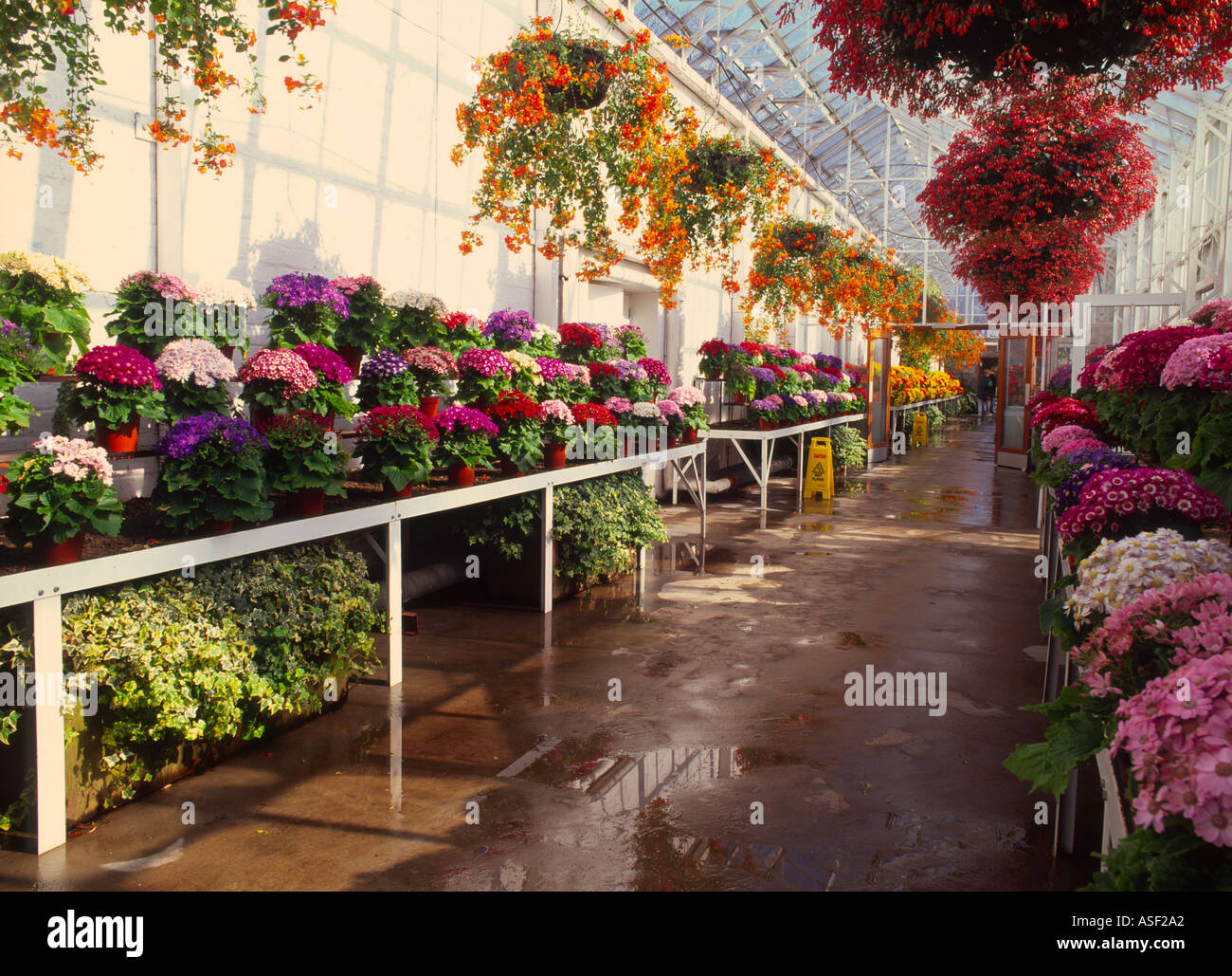 Duthie Park Winter Gardens Aberdeen Stock Photo - Alamy