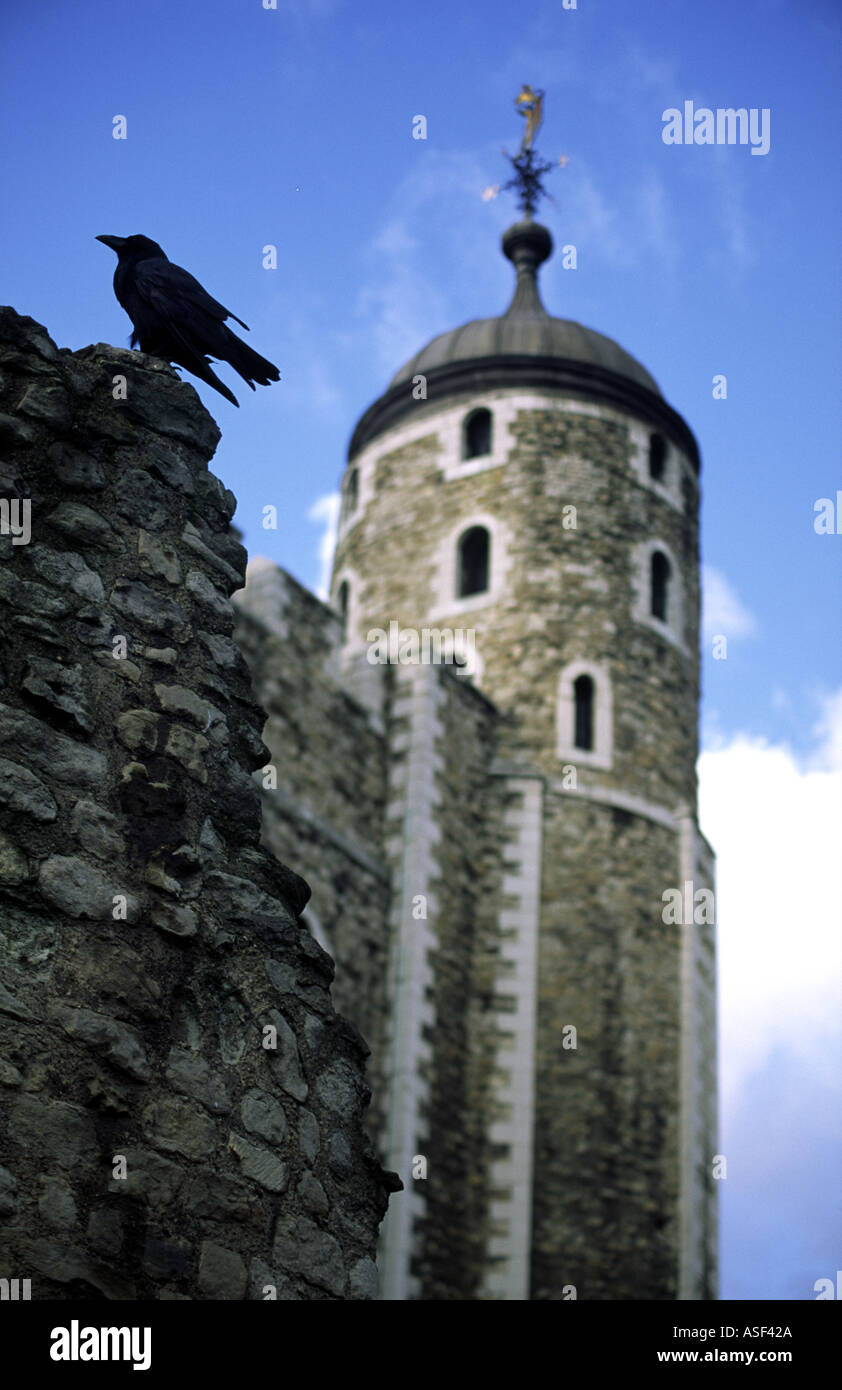 the tower of london one of the towers with crows perched on the wall ...