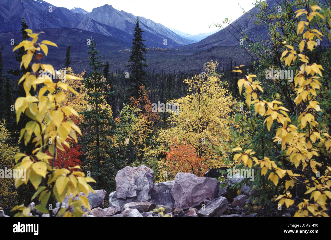 Canol heritage trail hi-res stock photography and images - Alamy
